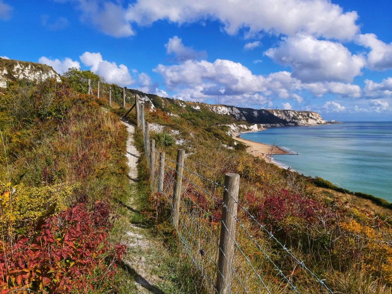 Folkestone to Dover Hike – Alphe's Corner