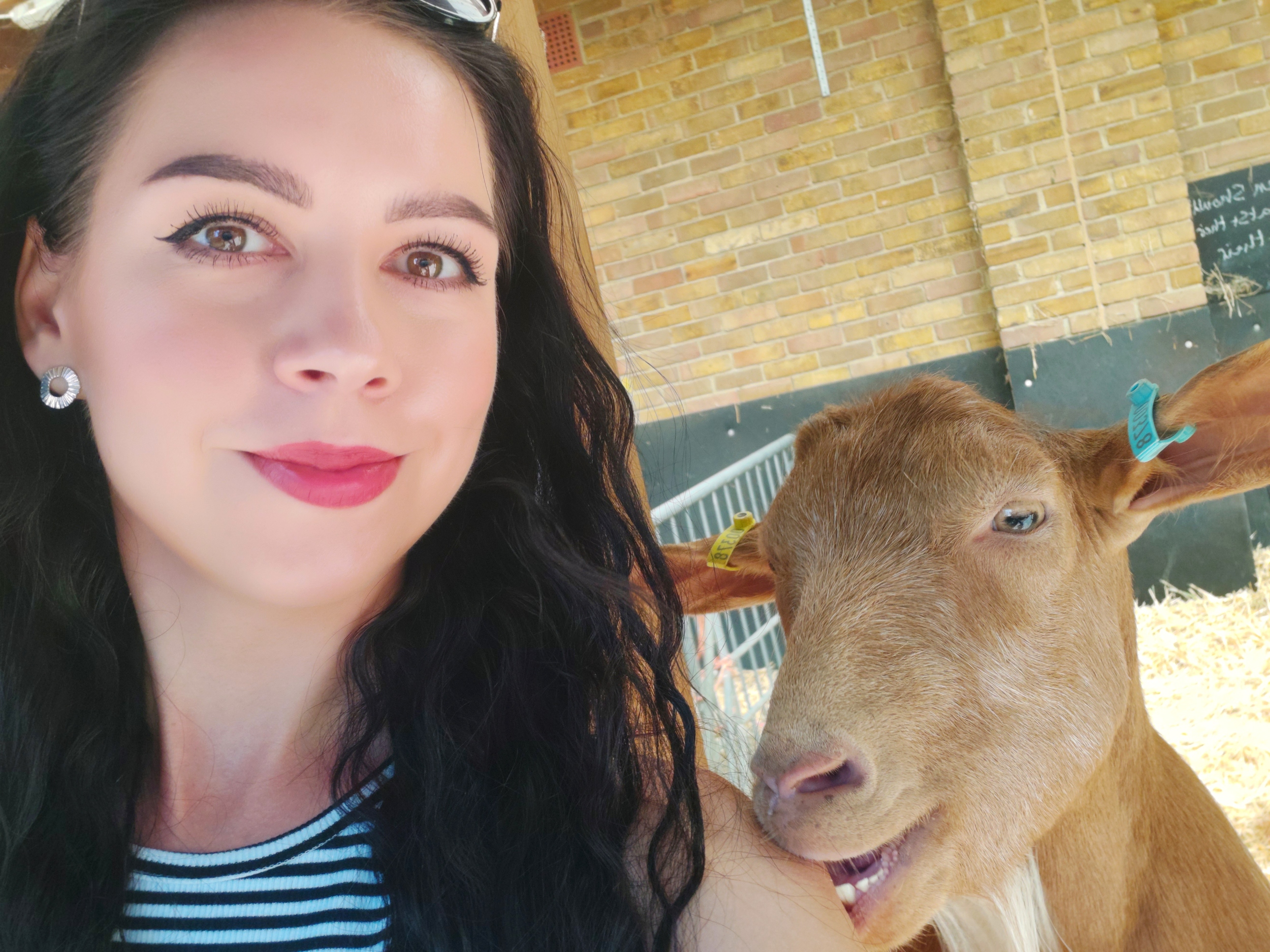 London Mudchute Farm – Alphe's Corner