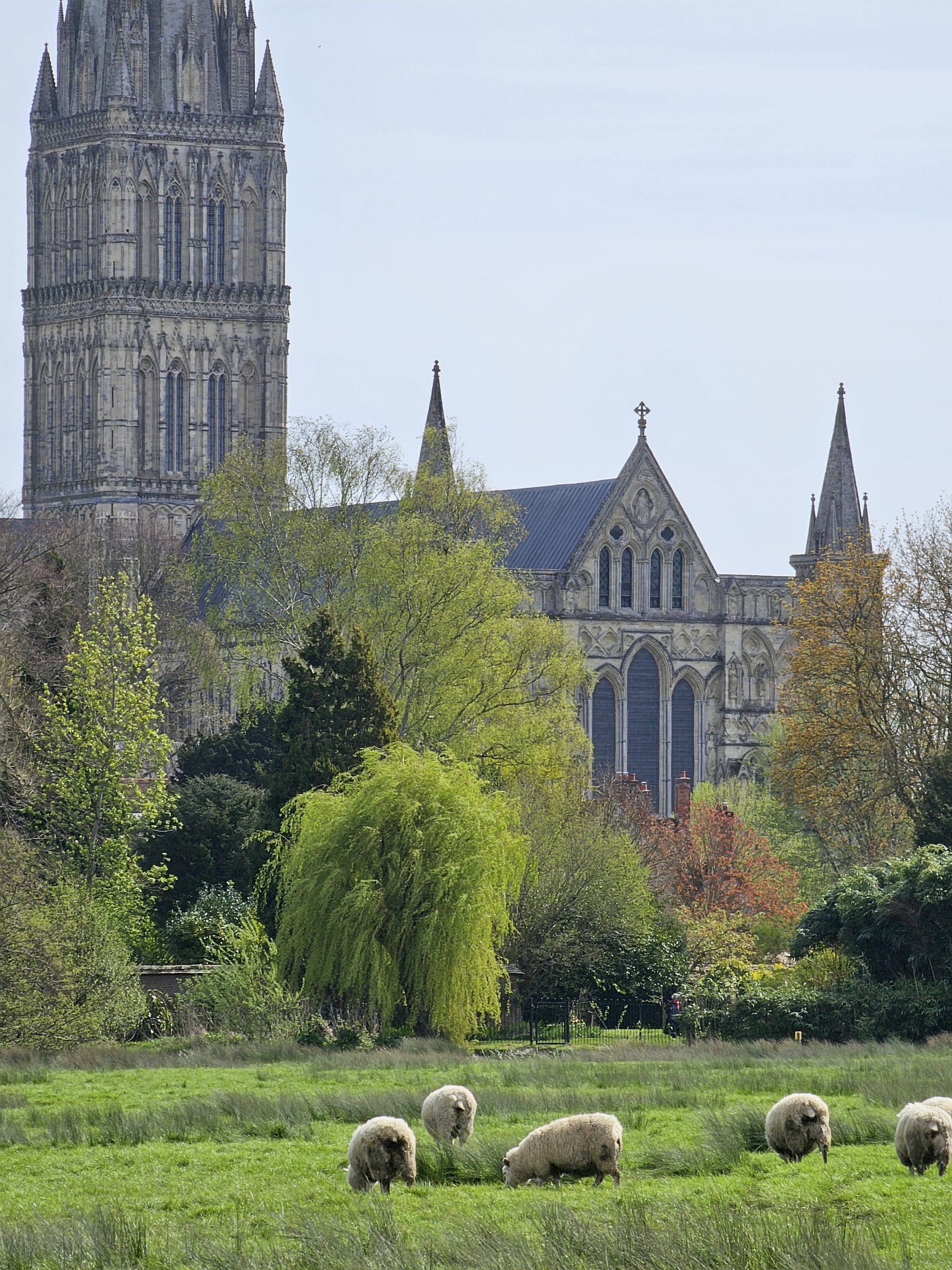 A Day In Salisbury, England – Alphe's Corner