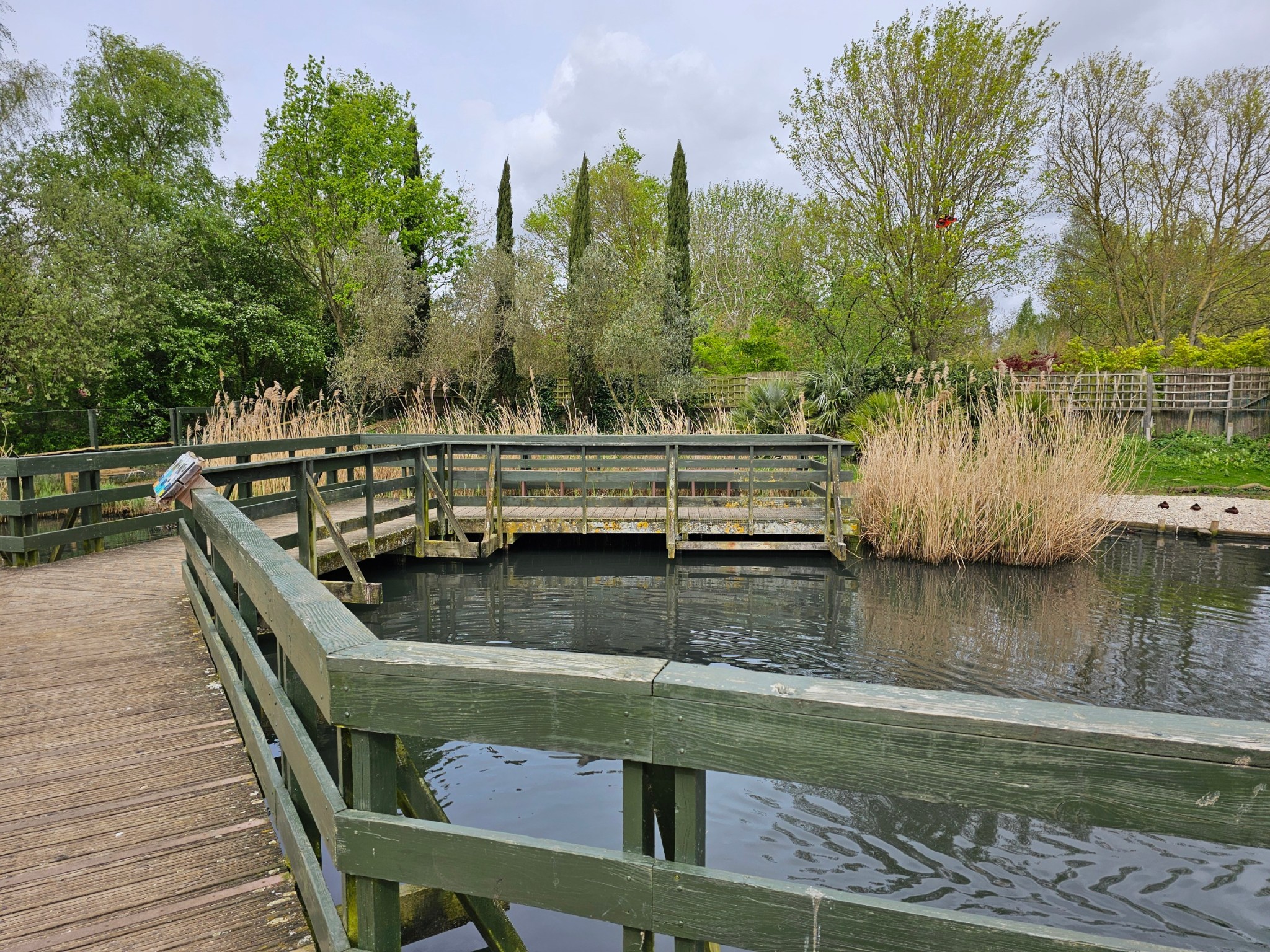 A Visit To WWT London Wetland Centre – Alphe's Corner