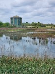 A Visit To WWT London Wetland Centre – Alphe's Corner