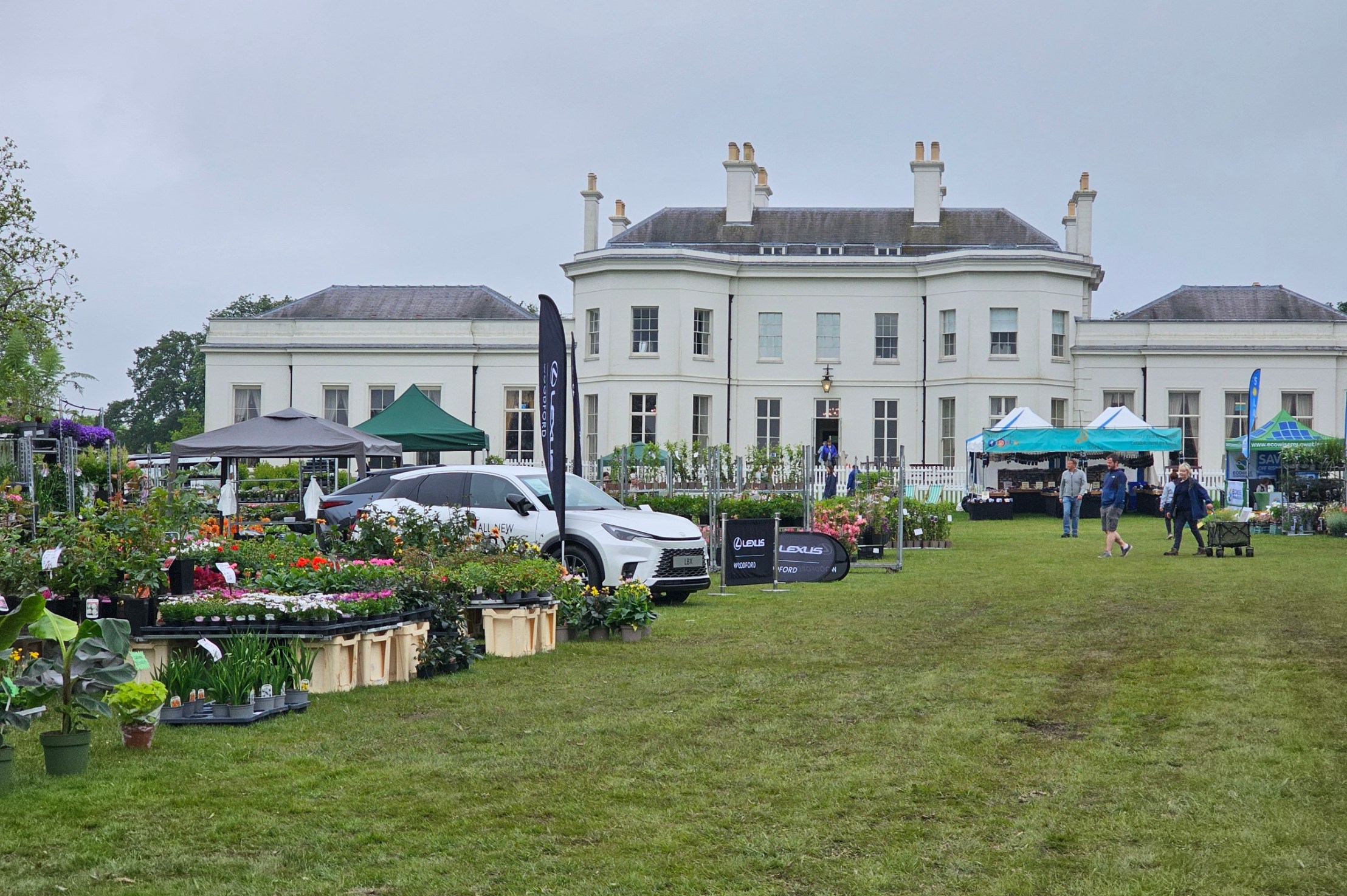 National Flower Show 2024, Chelmsford – Alphe's Corner