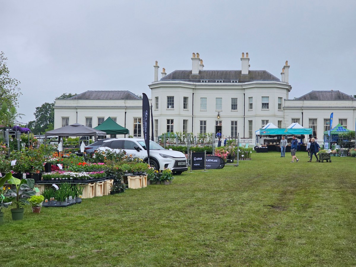 National Flower Show 2024, Chelmsford – Alphe's Corner