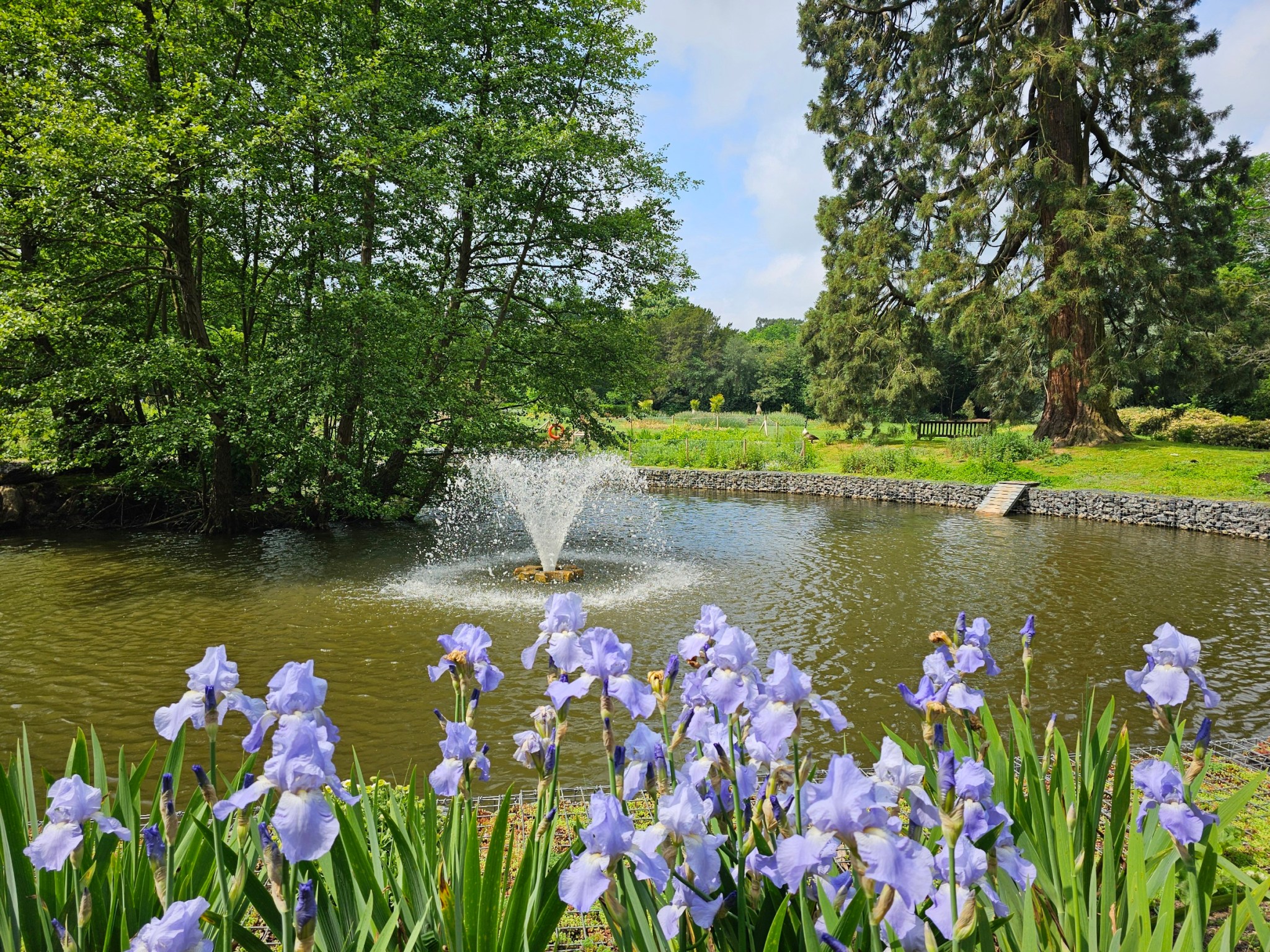 National Flower Show 2024, Chelmsford – Alphe's Corner