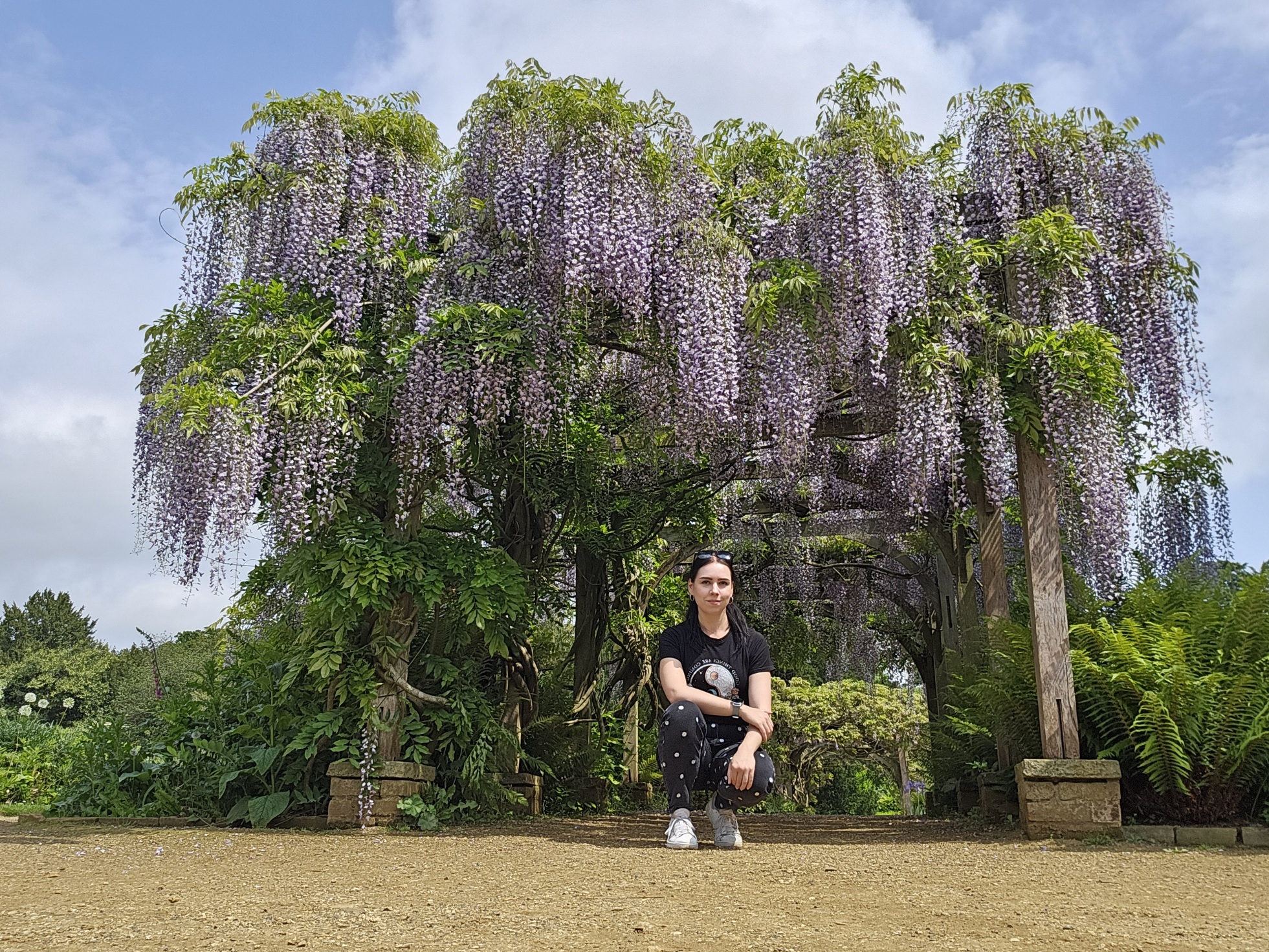 National Flower Show 2024, Chelmsford – Alphe's Corner