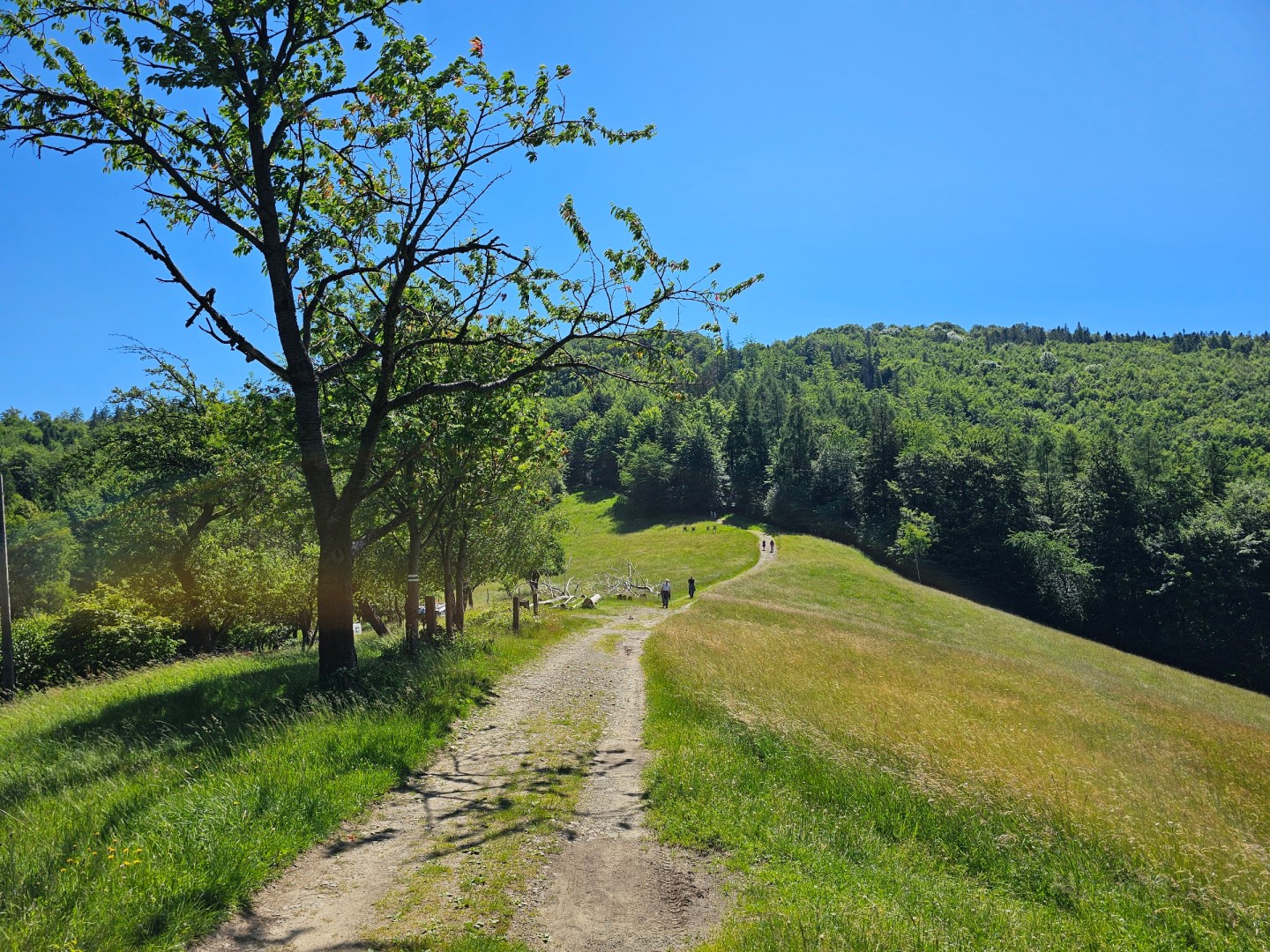 Hiking At Równica, Ustroń, Wisła, Poland – Alphe's Corner