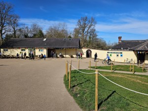 Box Hill Hike, England – Great Hiking Trail Near London – Alphe's Corner