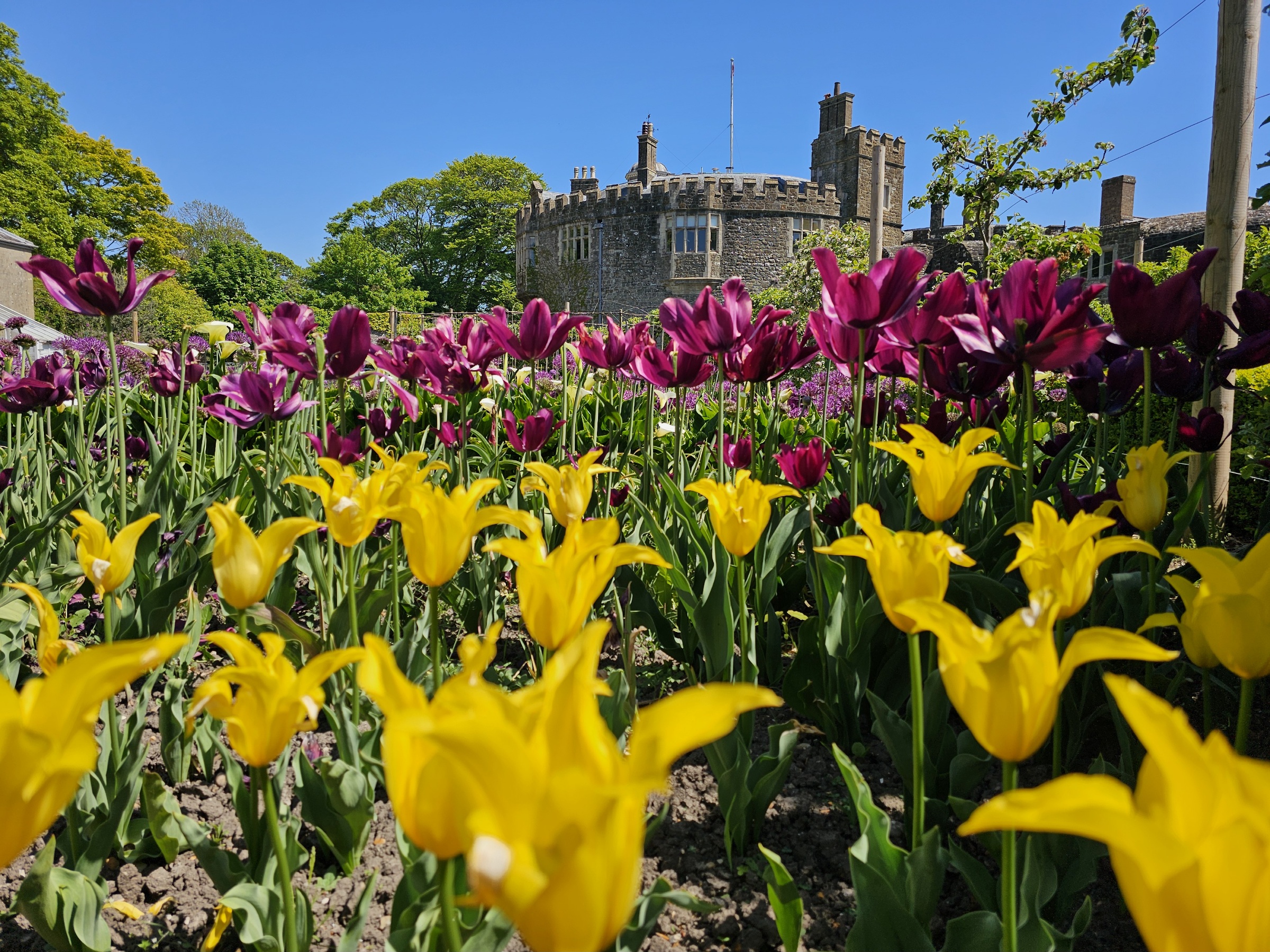 A Day Trip To Deal And Walmer, Kent, England – Two Castles, Garden And ...