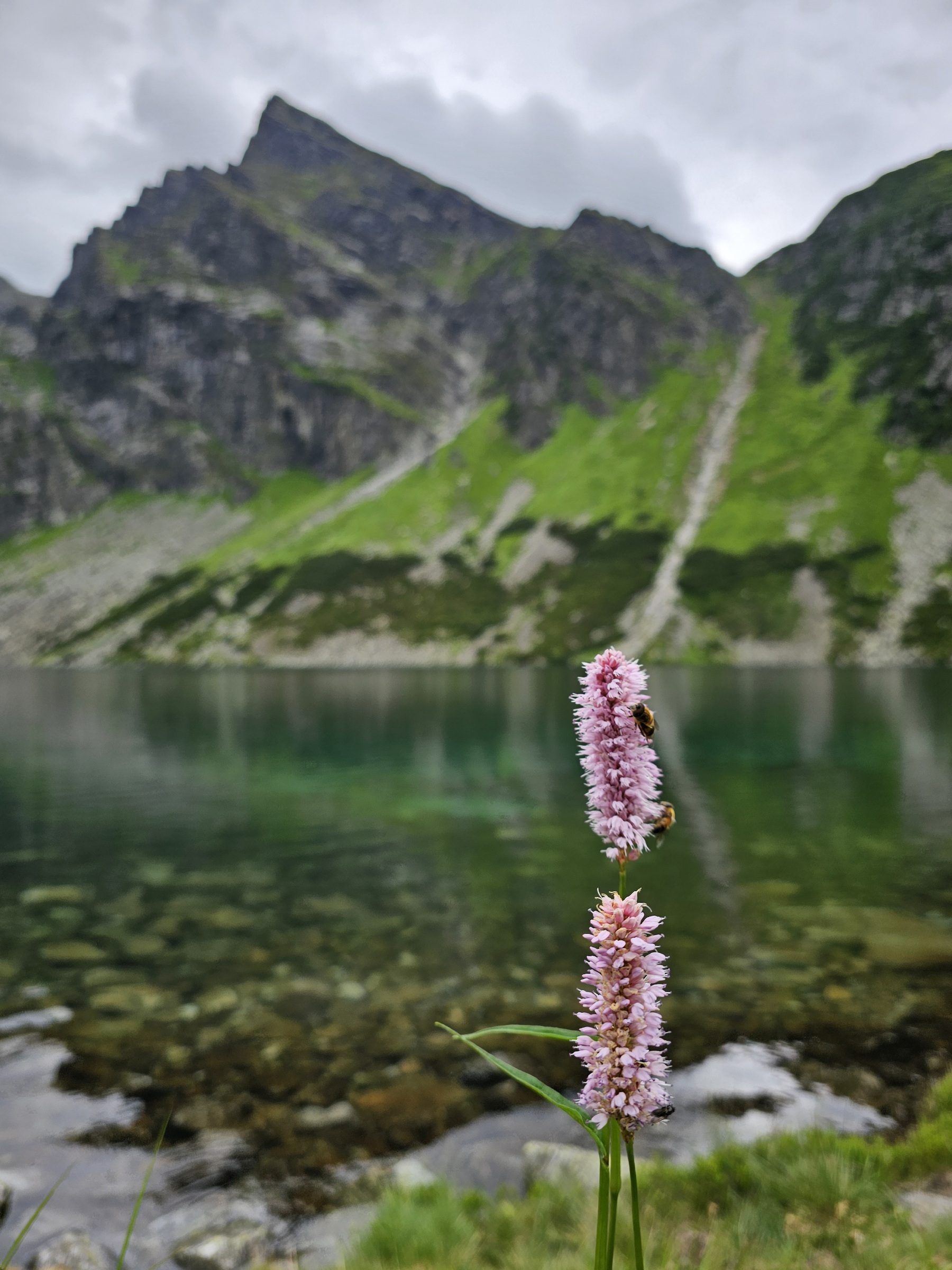 Karb, Czarny Staw Gasienicowy Hike – Tatra Mountains – Poland – Alphe's ...
